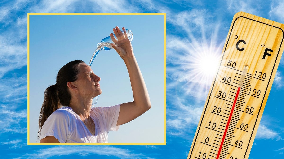 Want to survive the blazing hot Goan summer? Your diet should include this…