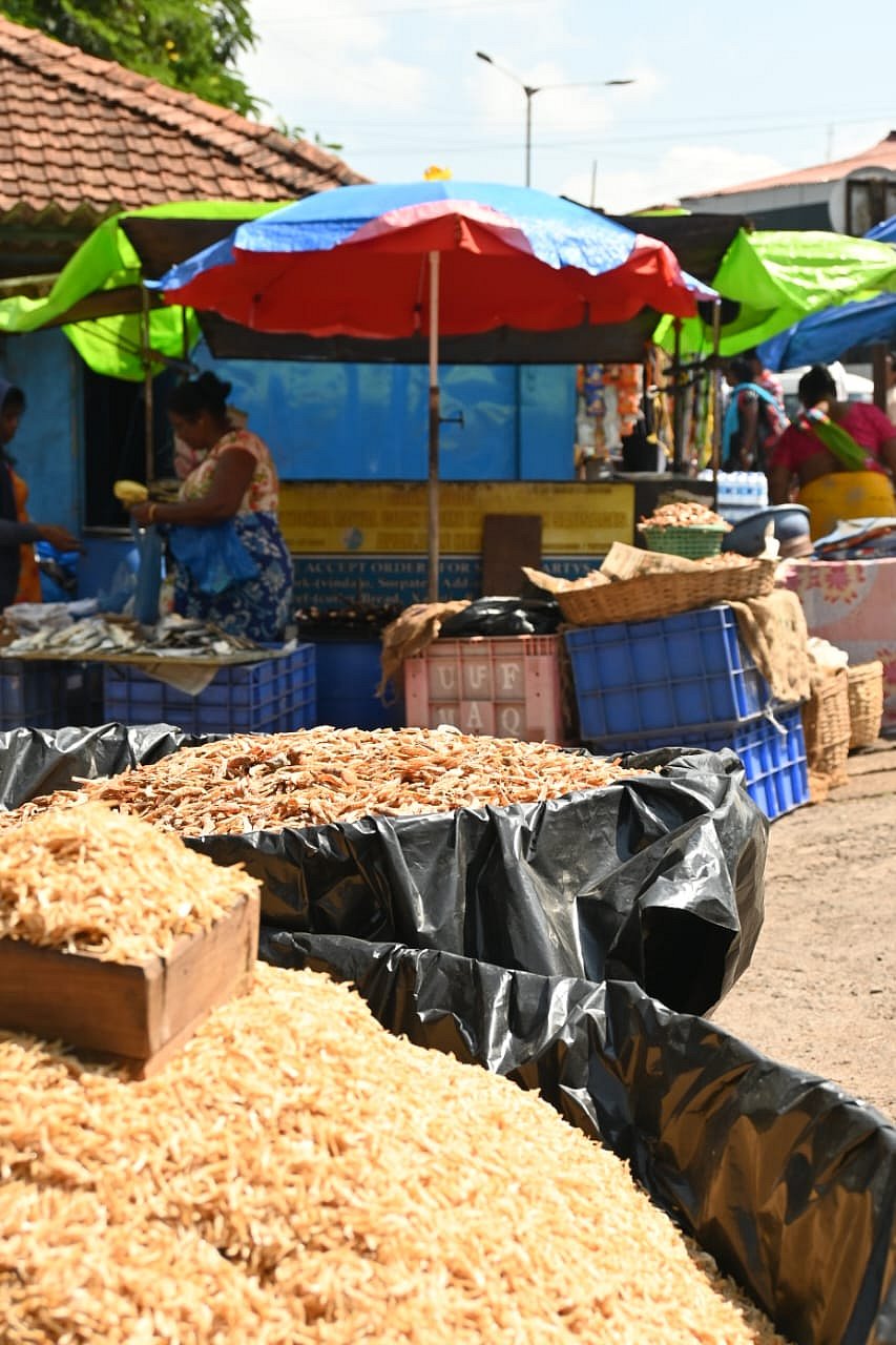 Check out the celebrations of the famous Holy Spirit feast in Margao ...
