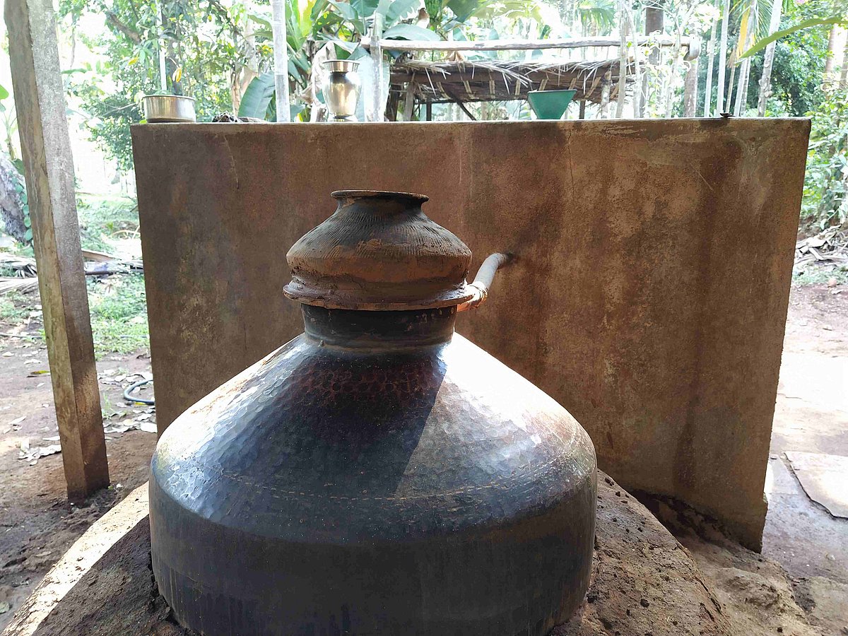 Farm to bottle: The real joy of feni-making