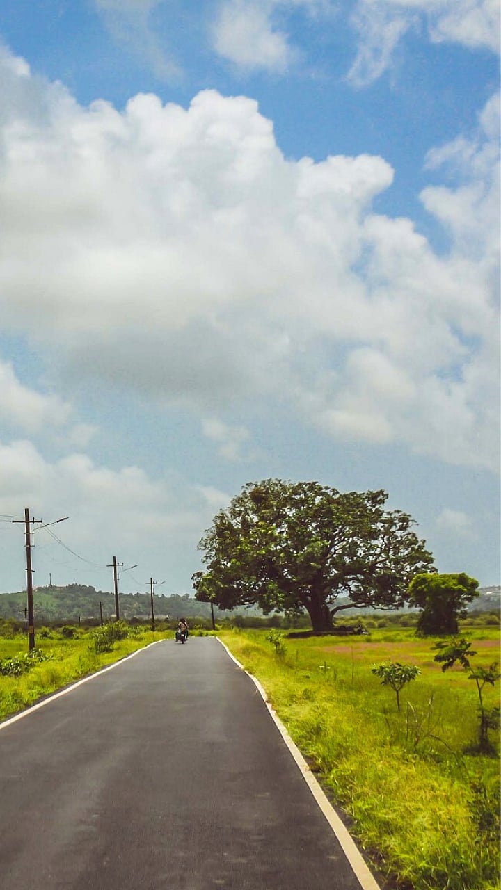 Things to do on the Island of Divar | Gomantak Times