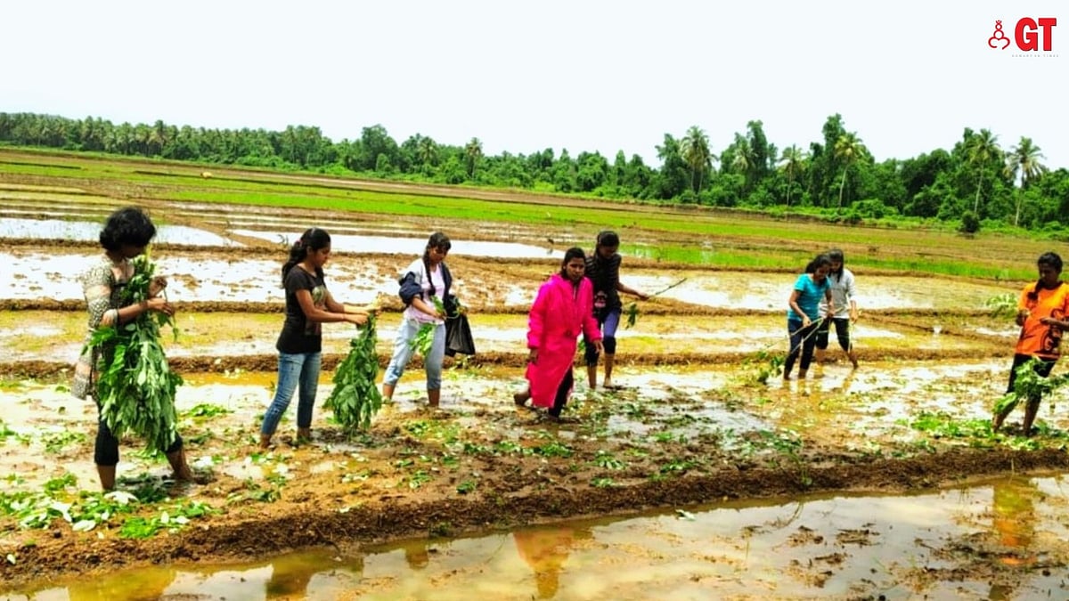Goa's Green Revolution: From Revolution Day to Improved Agricultural ...