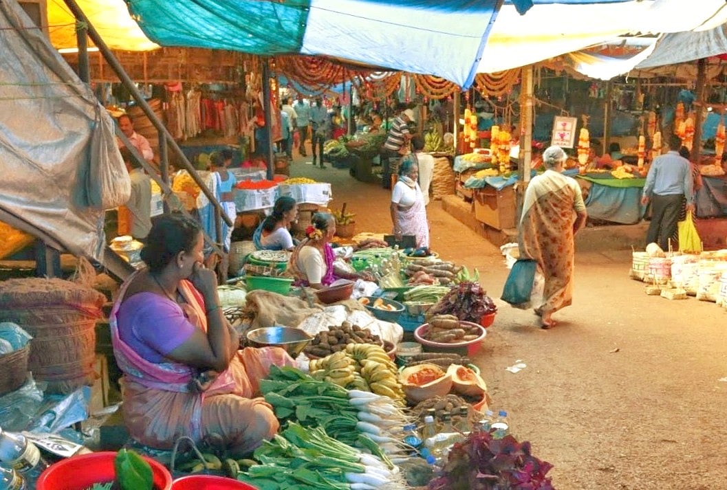 Goan Crops: More Than Cashews and Coconuts