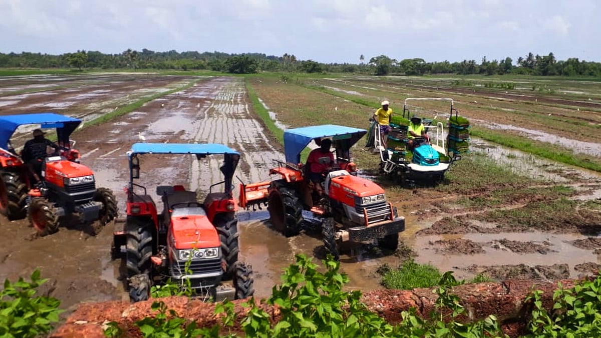 Community farming is the way forward for Goa's agriculture