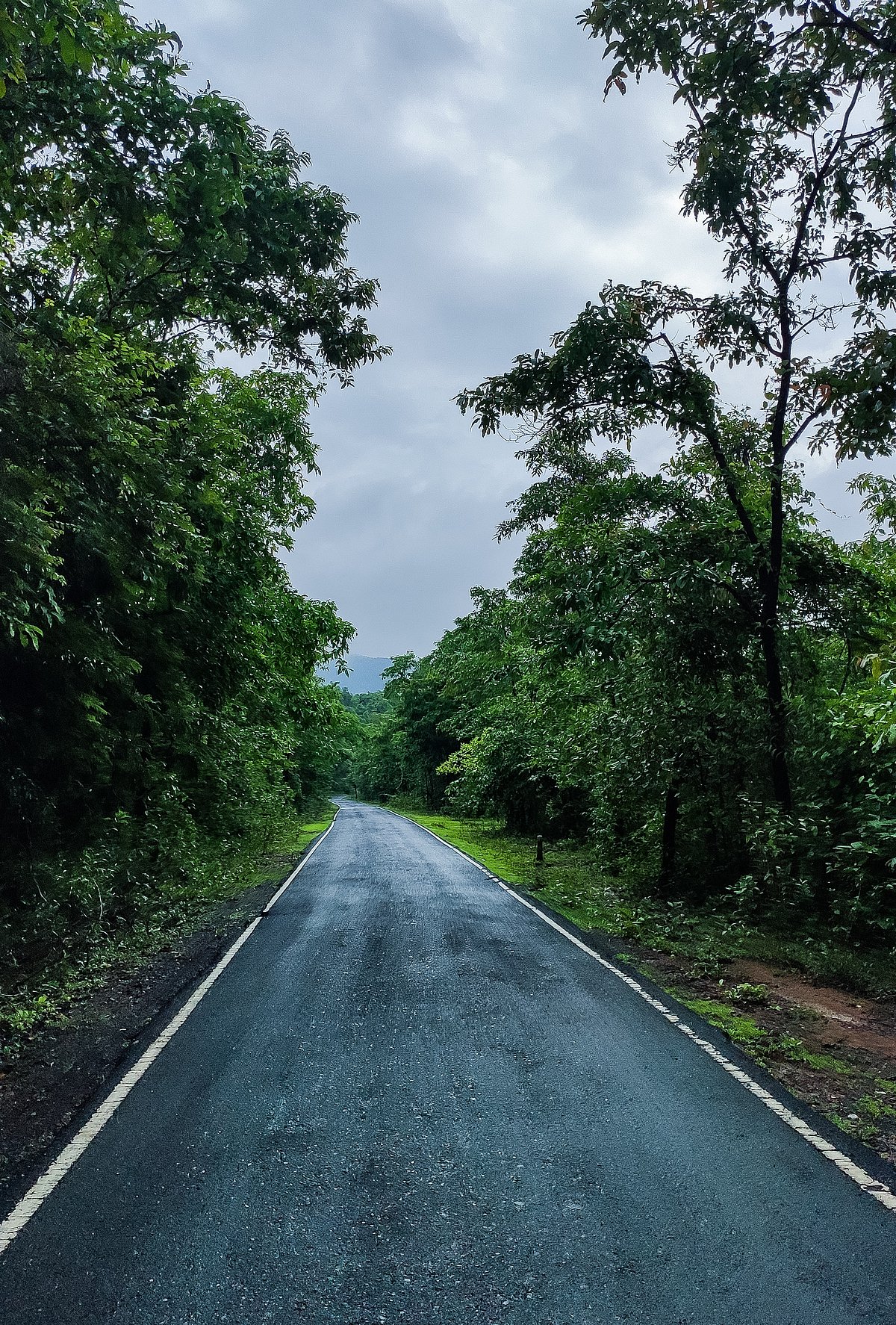 Experience monsoon moods on these scenic Goan routes