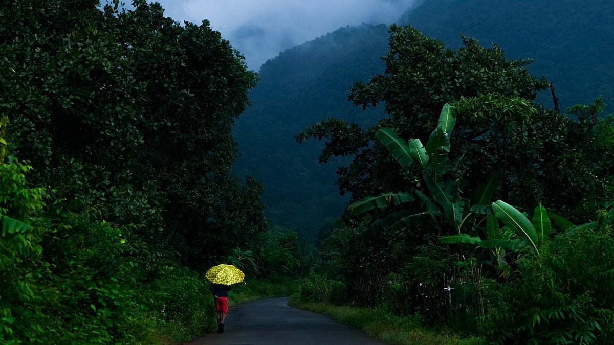 Goa awaits rainy season for that fresh green makeover| Gomantak Times