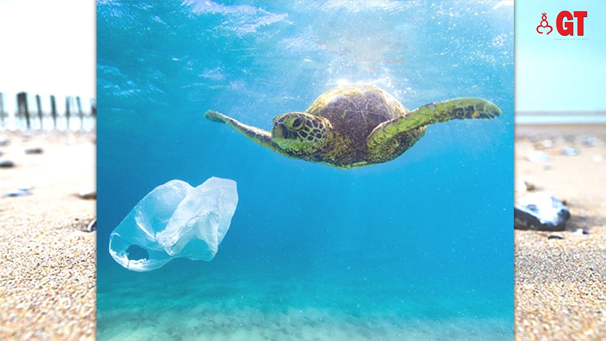 WWF's WhatsApp chatbot to combat plastic pollution|Gomantak Times