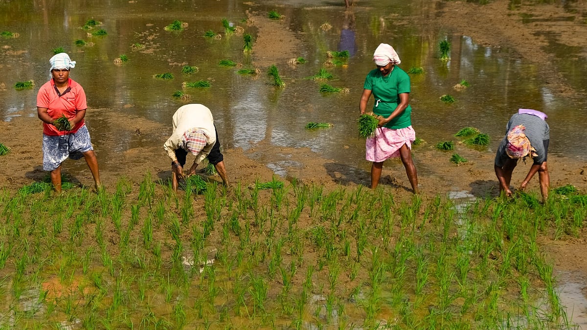 Community farming is the way forward for Goa's agriculture