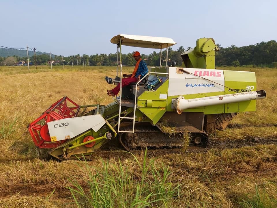 Goa's Green Revolution: From Revolution Day to Improved Agricultural ...