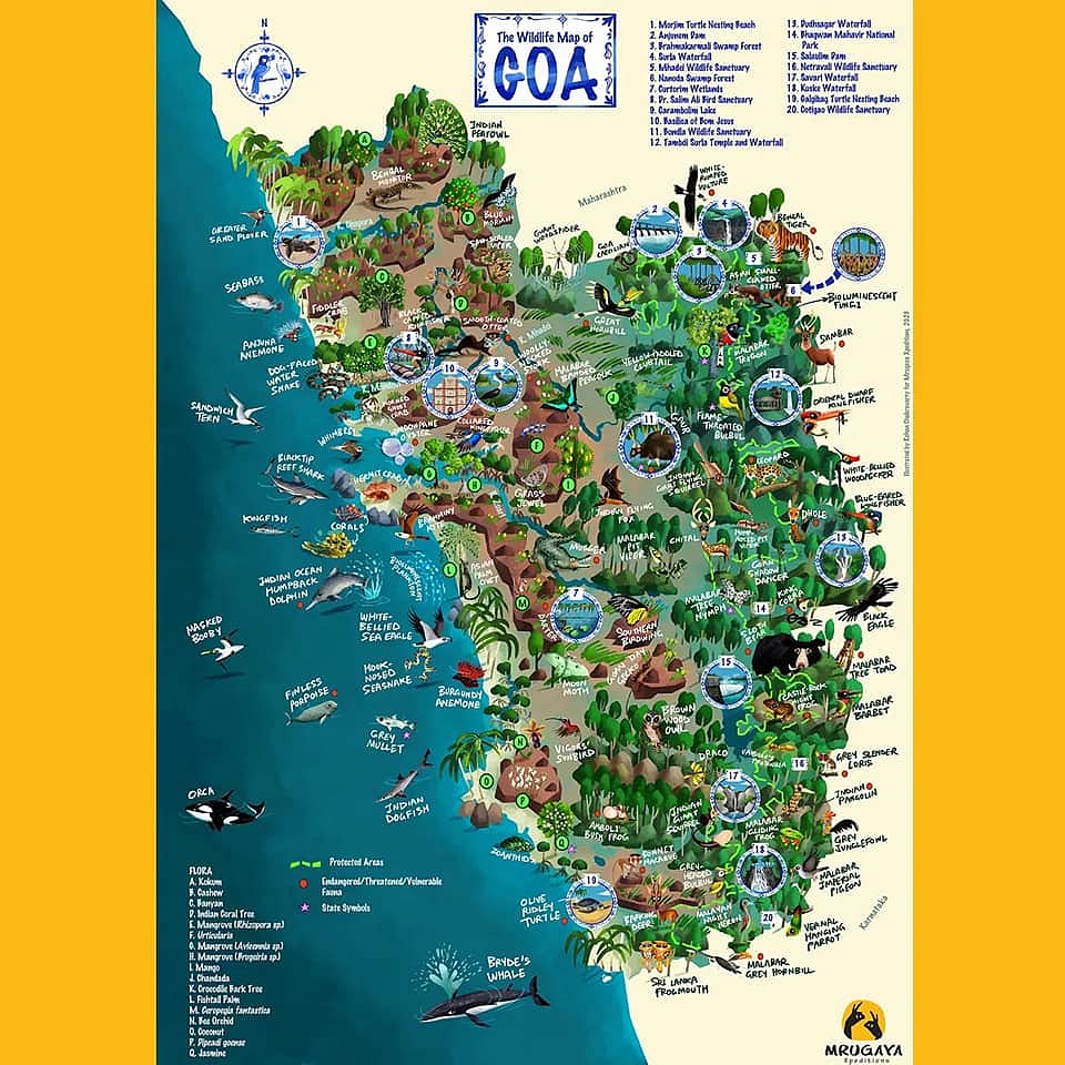 Glance through Goa’s flora and fauna with ‘The Wildlife Map of Goa’