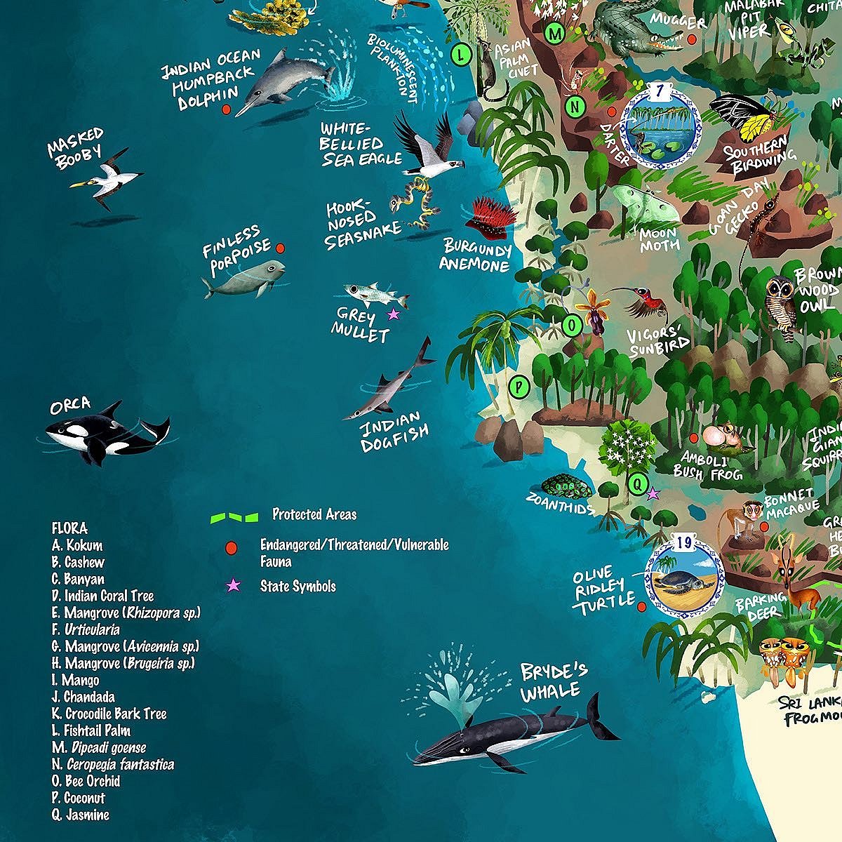 Glance through Goa’s flora and fauna with ‘The Wildlife Map of Goa’
