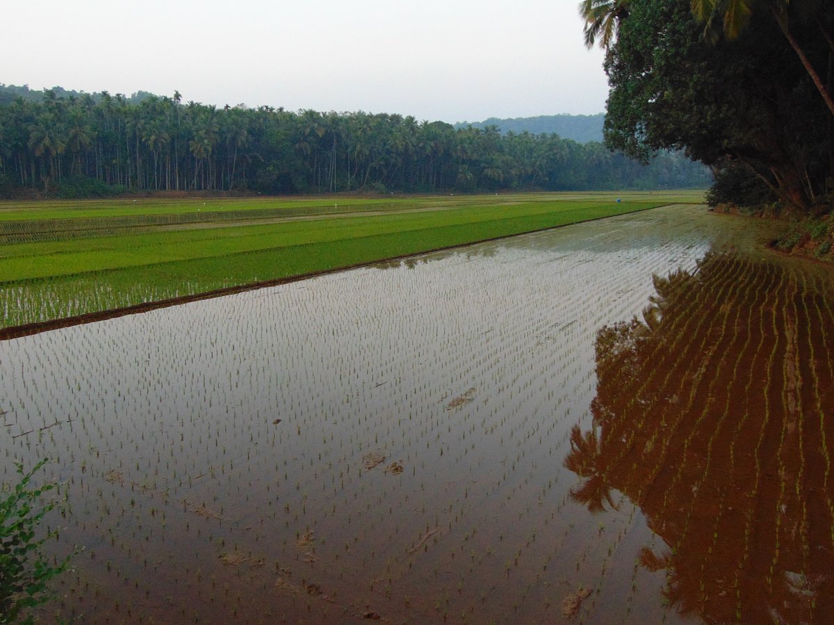 So, you thought Goa’s weather was safe from El Niño and La Nina?