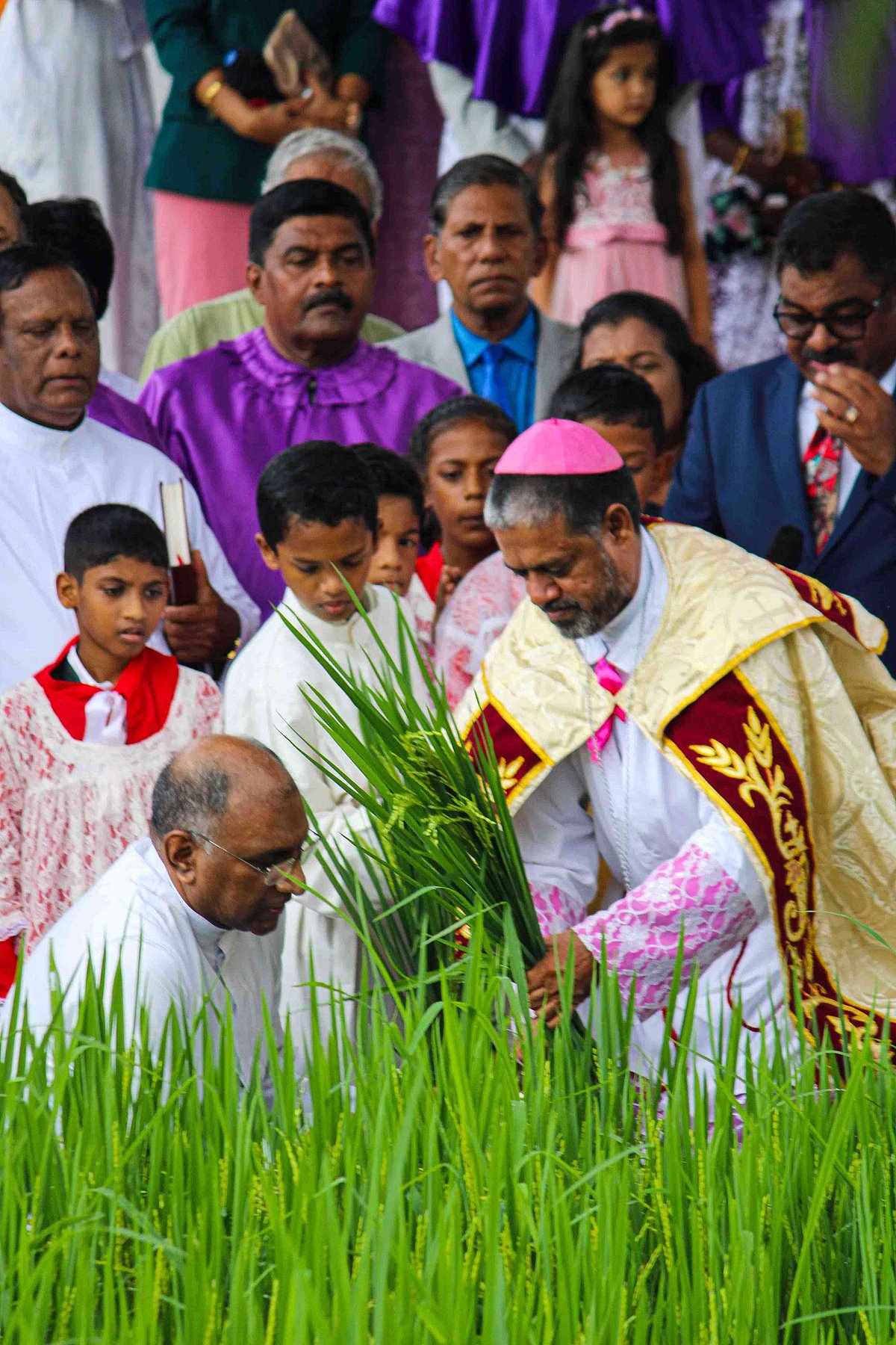 Konsachem Fest in Goa: Timings of feast masses & programmes