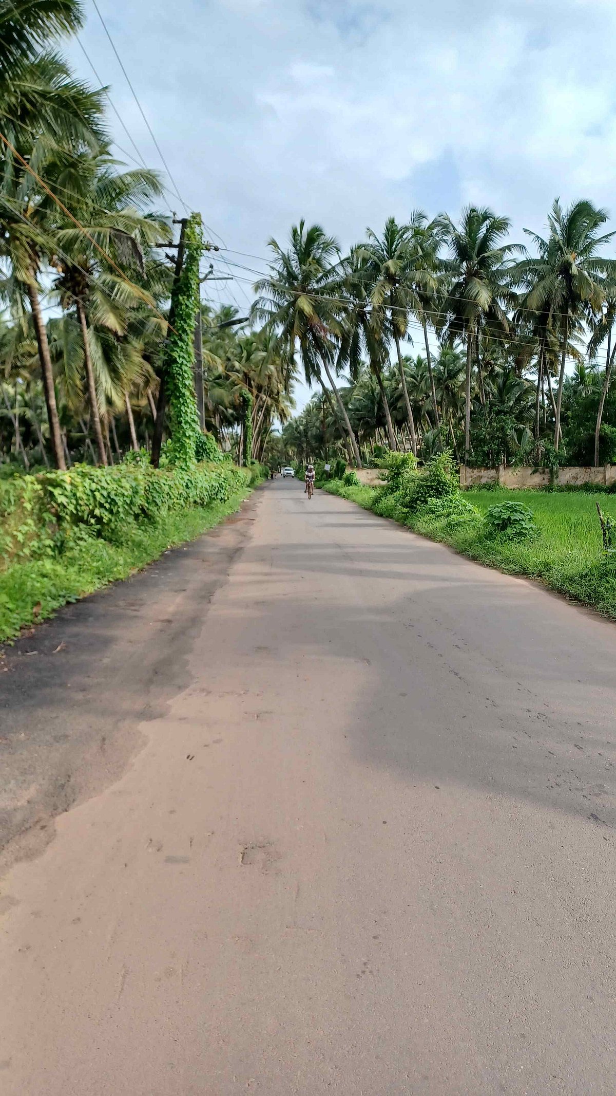 Experience soulitude in Goa's Batim village|Gomantak Times