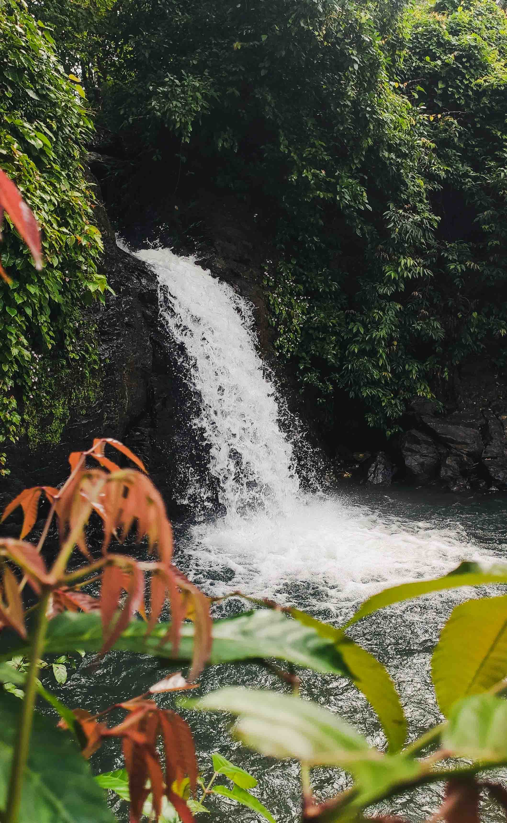 South Goa's Bhupar waterfall is small, yet beautiful|Gomantak Times