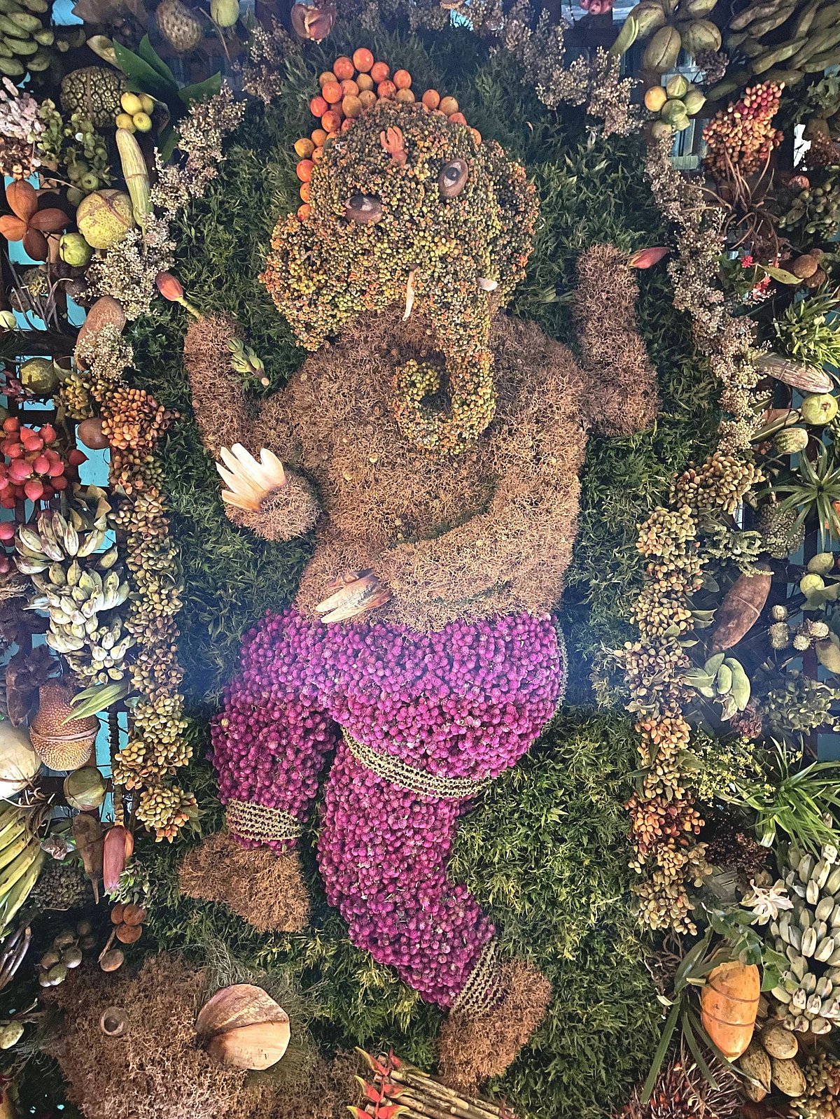 Is it art? Is it biodiversity? It’s ‘matoli’ art in Goa like you’ve ...