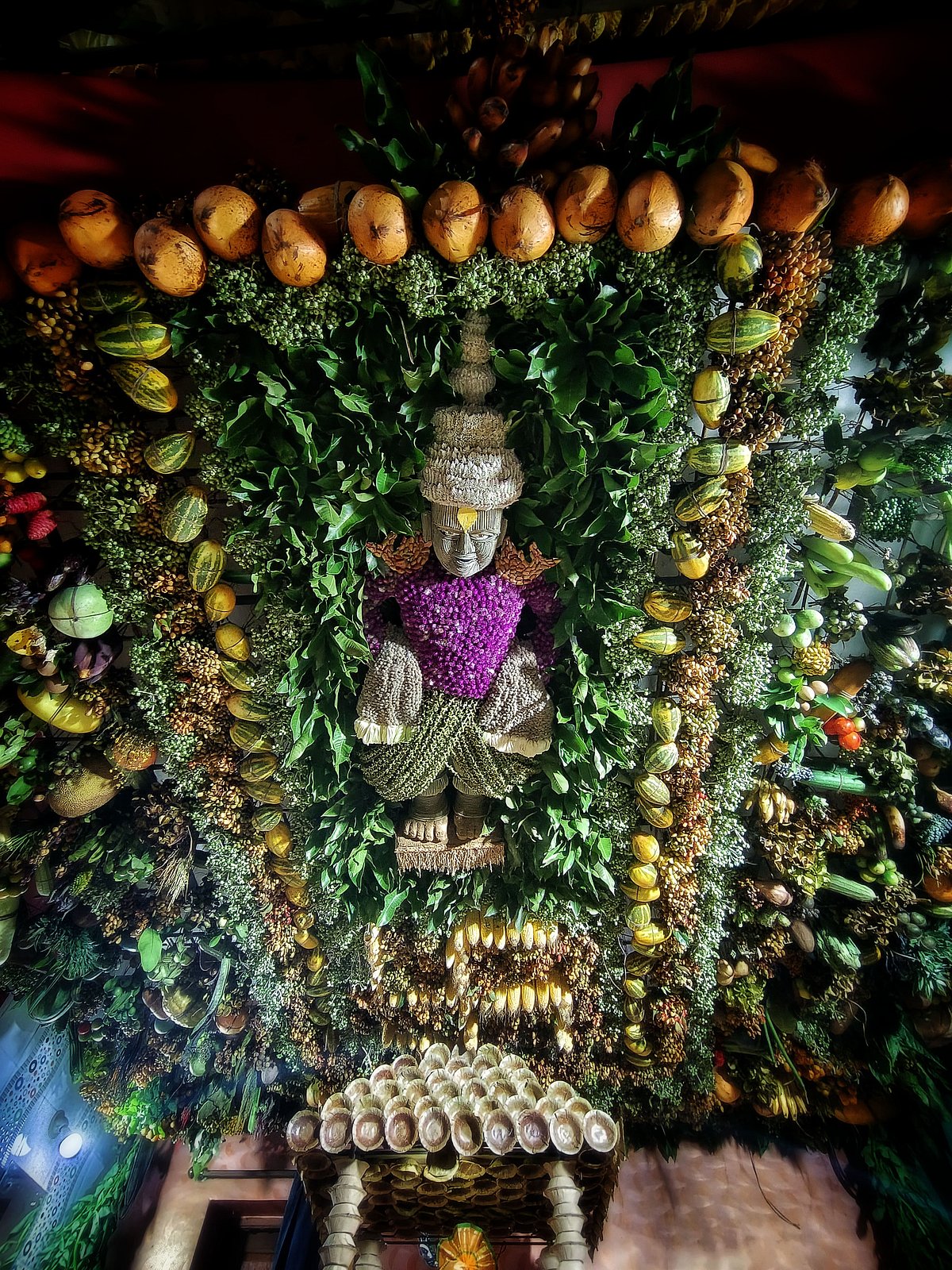 Is it art? Is it biodiversity? It’s ‘matoli’ art in Goa like you’ve never seen before | Gomantak ...