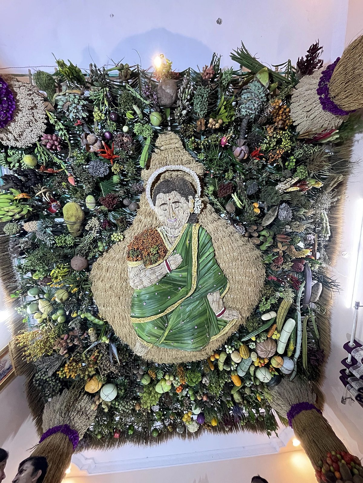 Is it art? Is it biodiversity? It’s ‘matoli’ art in Goa like you’ve never seen before | Gomantak ...