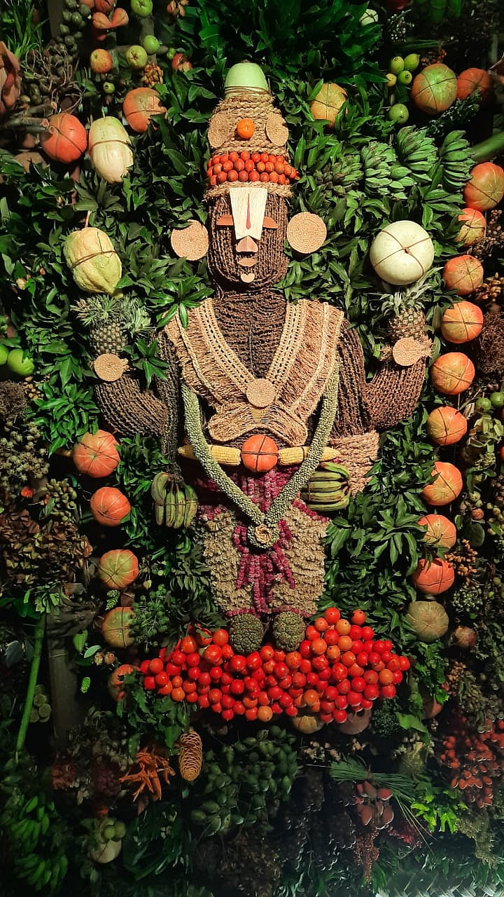 Is it art? Is it biodiversity? It’s ‘matoli’ art in Goa like you’ve ...