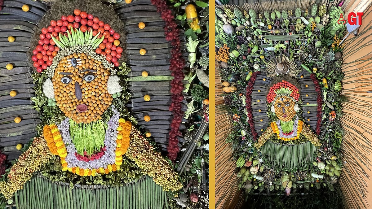 Is it art? Is it biodiversity? It’s ‘matoli’ art in Goa like you’ve ...