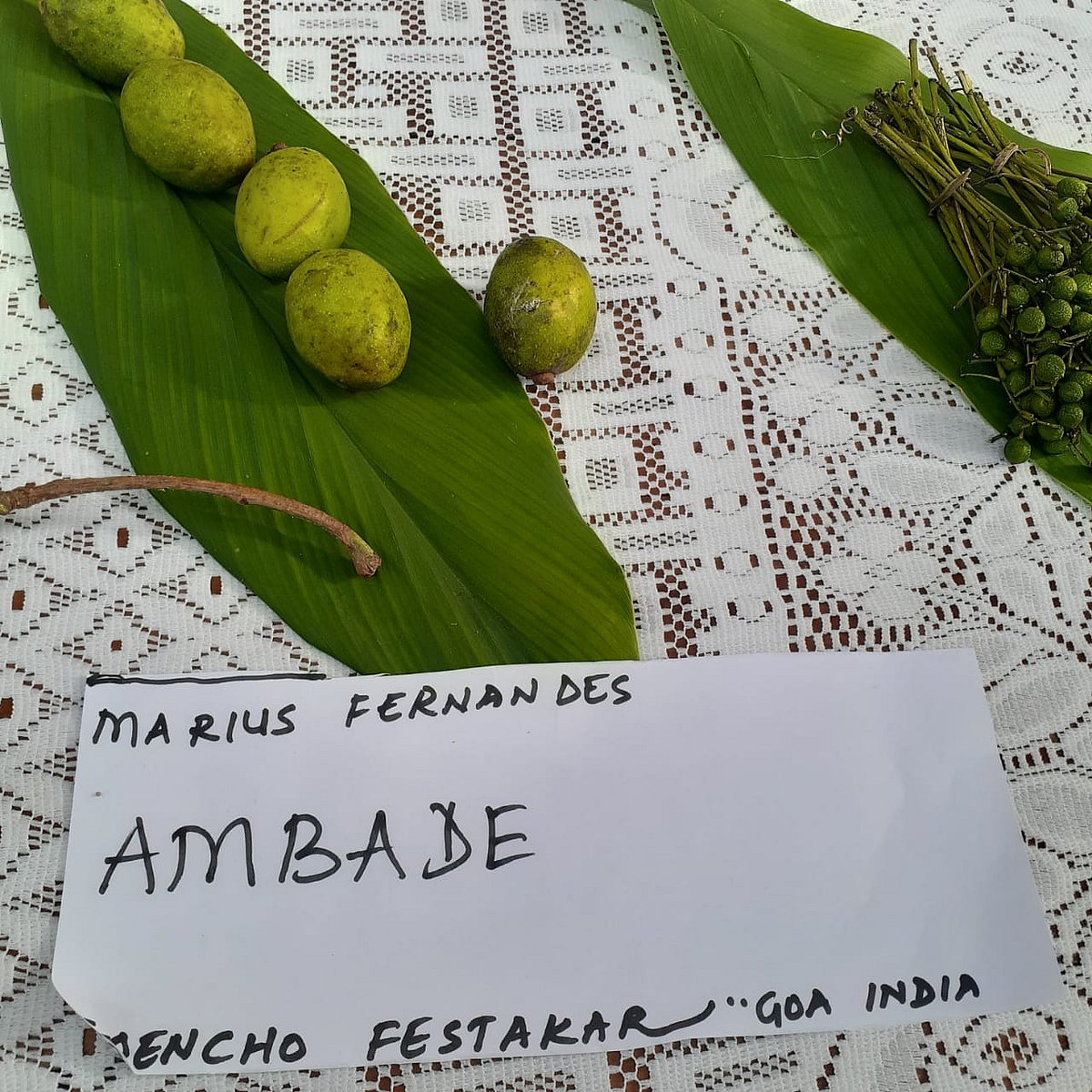 Travelling ‘Pattoieanchem Fest’ enlivens Carambolim with festivities ...