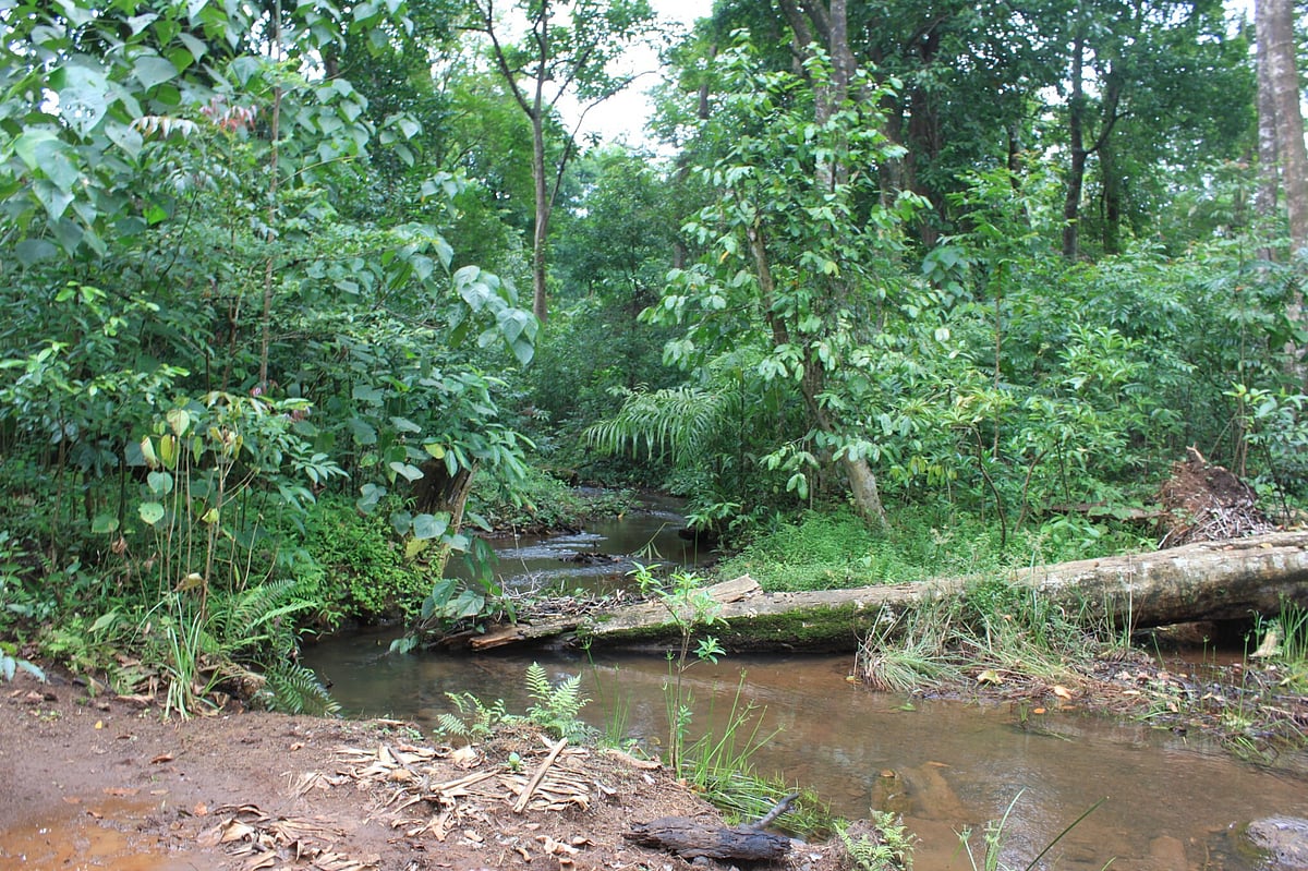 Conservationist's talk on 'Tropical Forest Conservation and Sustainability'