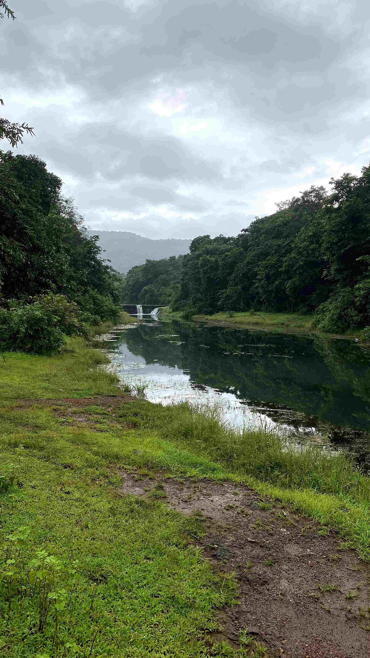 Mollem: Goa's treasure trove of natural heritage|Gomantak Times