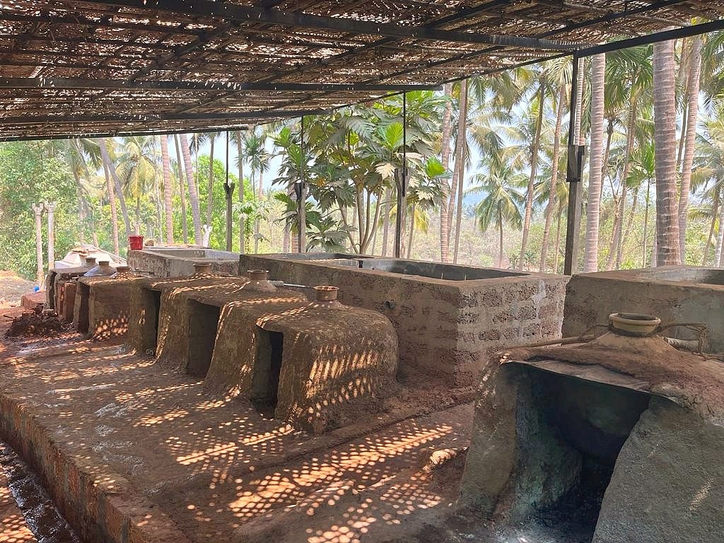 Goa's Feni: From Local to Global