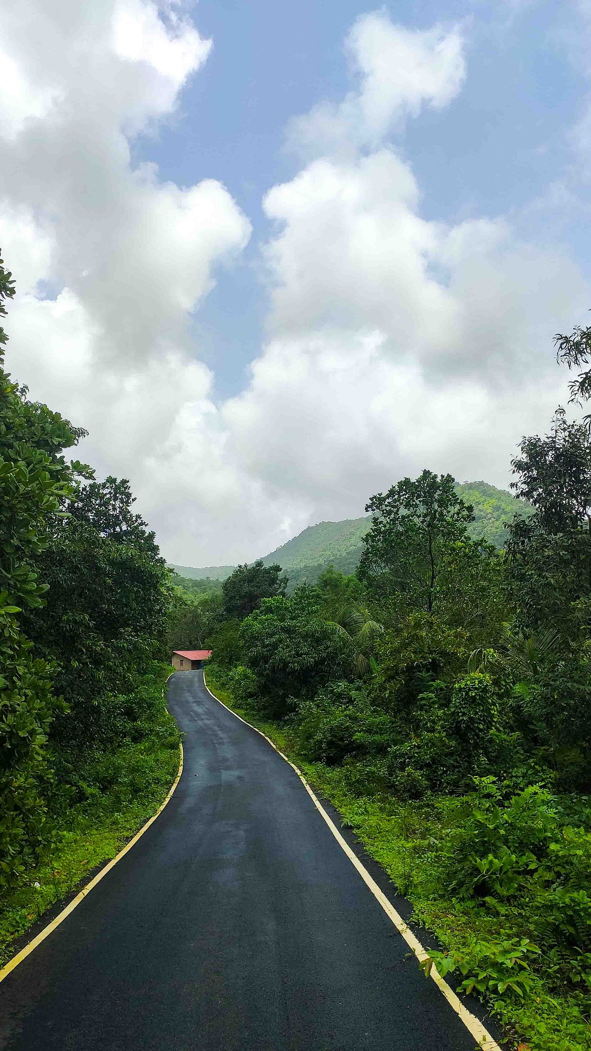 8 Hidden Green Gems of Goa: Roads & Walkways for a Perfect Nature ...