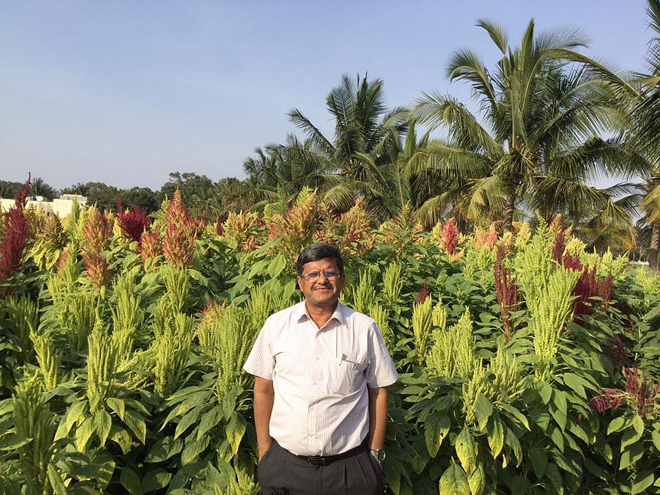 World Food Day: Goa and a pseudo millet called ‘rajgira’