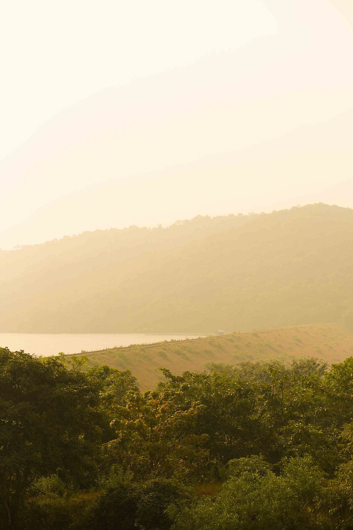 Chapoli dam in Goa is Canacona's lifeline |Gomantak Times