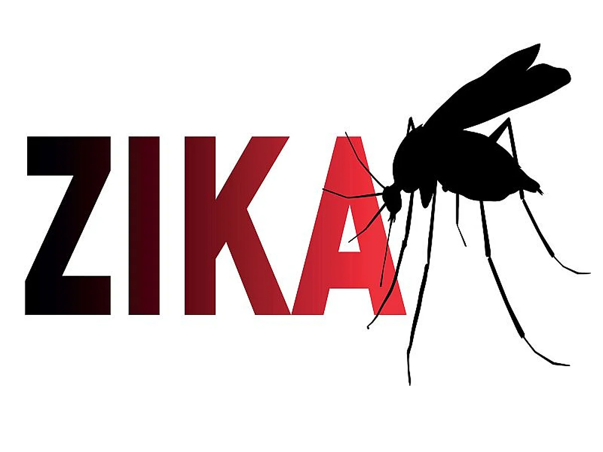 Los bebés afectados por el Zika podrían tener un aspecto normal al ... Los bebés afectados por el Zika podrían tener un aspecto normal al ...