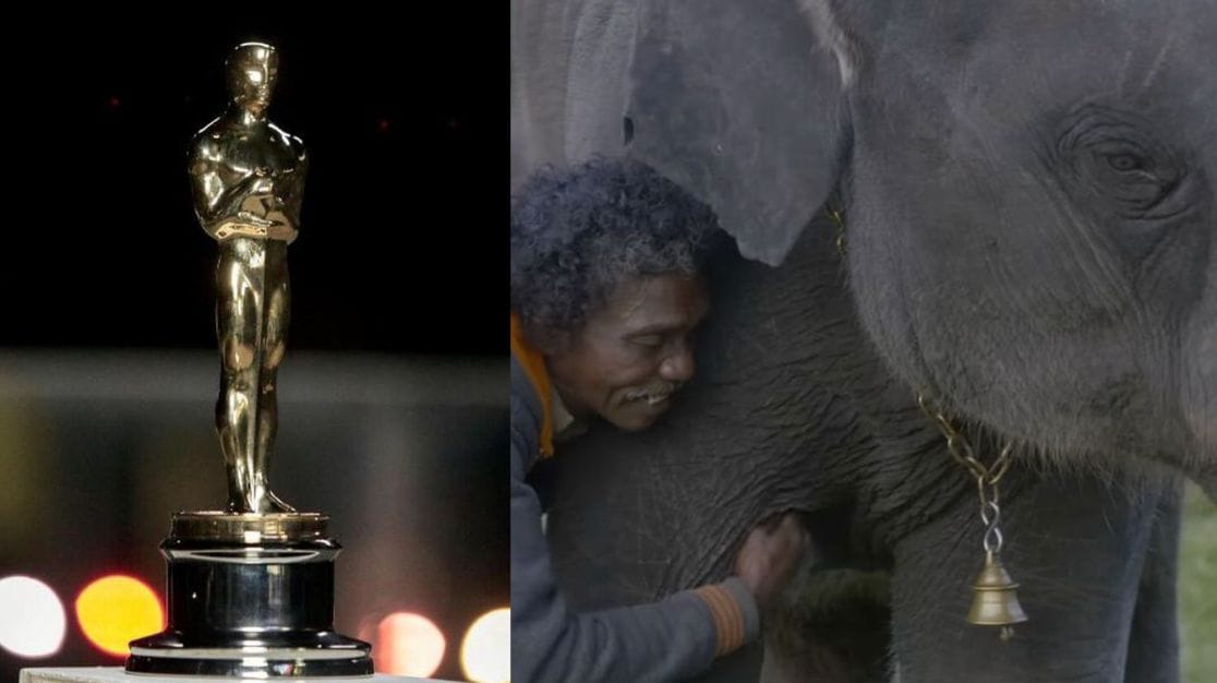 All Eyes On India: ‘The Elephant Whisperers’ Becomes The First Indian ...