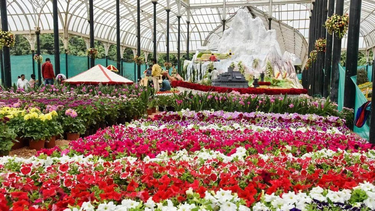 Botanical Garden Kolkata Lovers