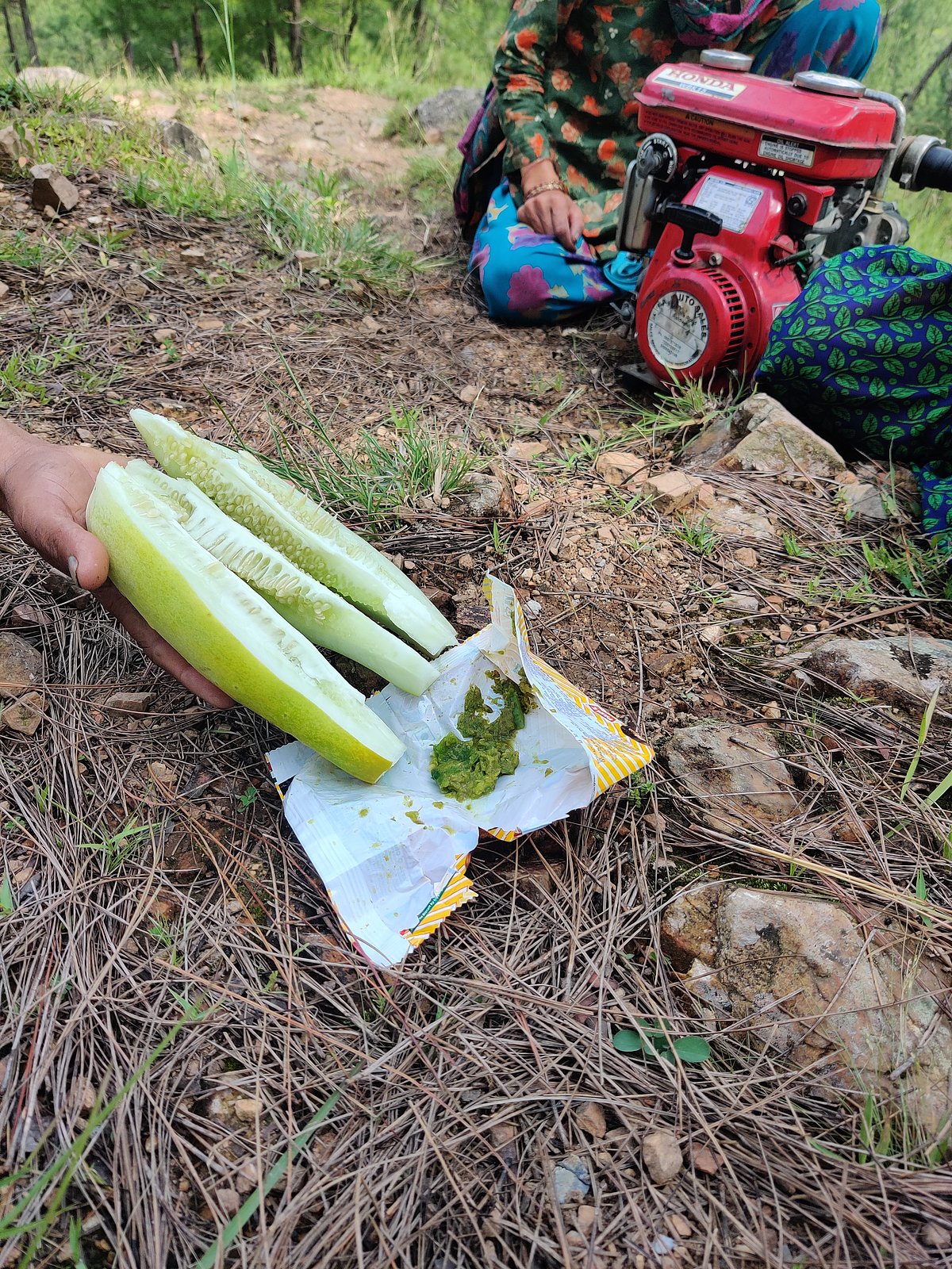 Explore The Beauty Of The Johar Valley Through Kalindi Kokal's ...