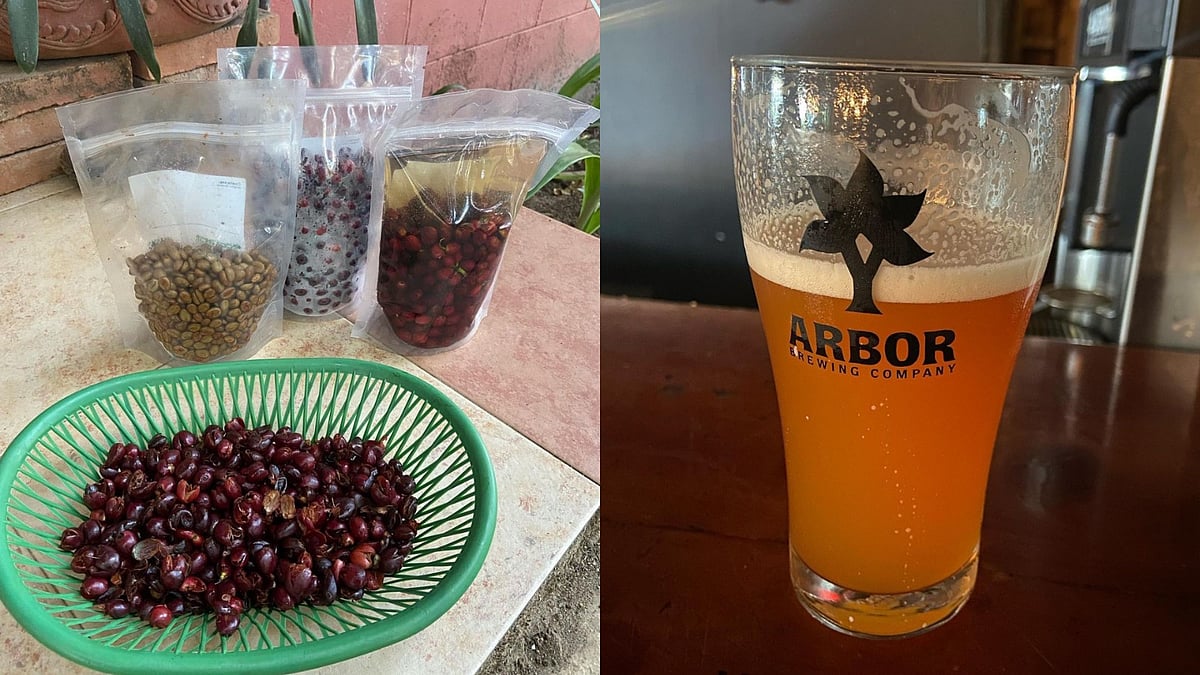 Arbor Brew Company and Kerehaklu Plantation Has Collaborated To Create ...