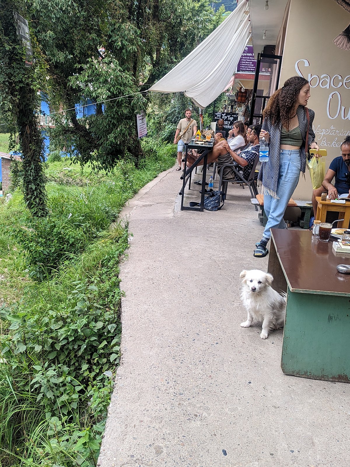 Explore Dharamkot With Homegrown's One-Stop Guide