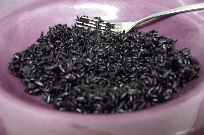 Snail Stew & Red Ant Chutney. India's Weirdest Foods Are...Weird.