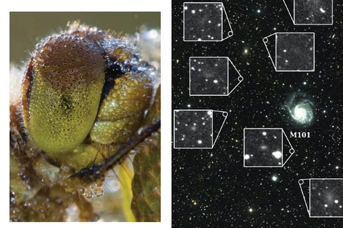 How One Astronomer Found Dwarf Galaxies By Observing Dragonflies