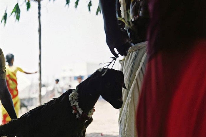 In Photos: Candace Feit's Stunning Documentation Of Tamil Nadu's ...