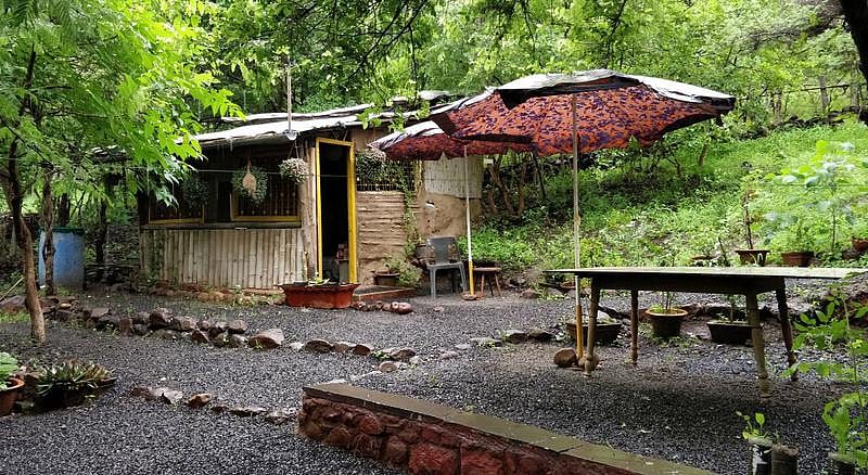 The farm in Pune India promotes sustainable development and waste ...