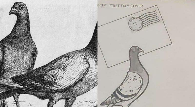 Delivered By Pigeons: The First Pigeon Postal Service Of India