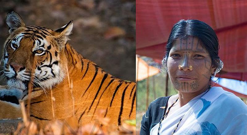 Experience Wildlife, Rural Tourism & Culture Of India, Nepal, Bhutan & Thailand With Vana Safaris