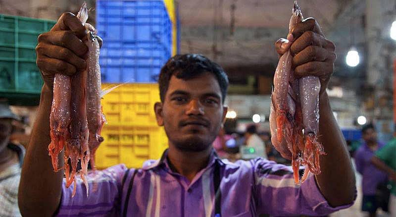 The Glorious Life Of Bombay Duck From Sea To Table