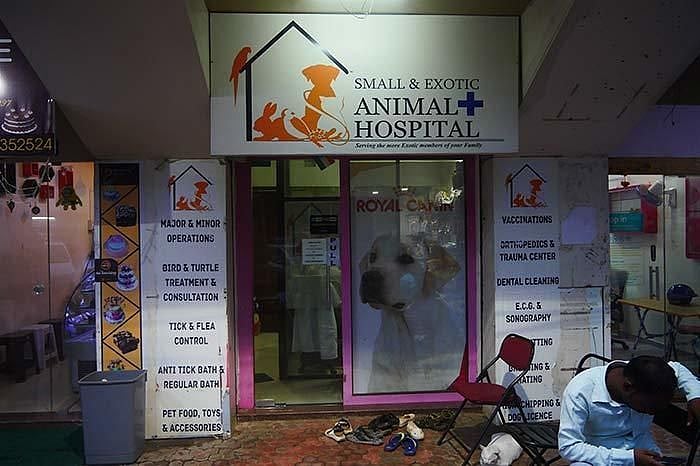 Visit Mumbai’s Small And Exotic Animal Hospital!