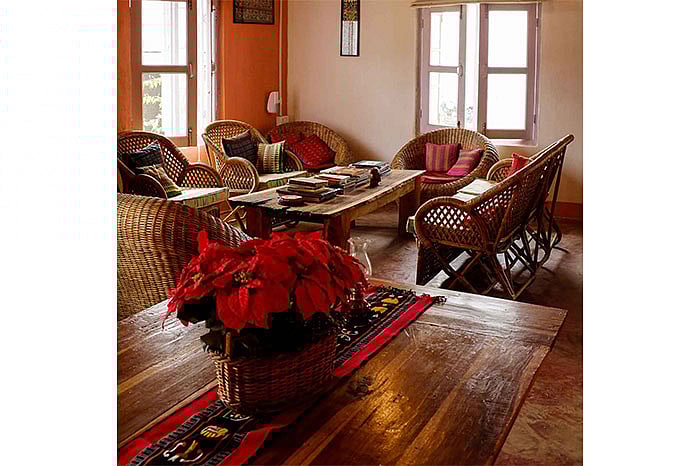 konyak tea retreat - a tea plantation in nagaland