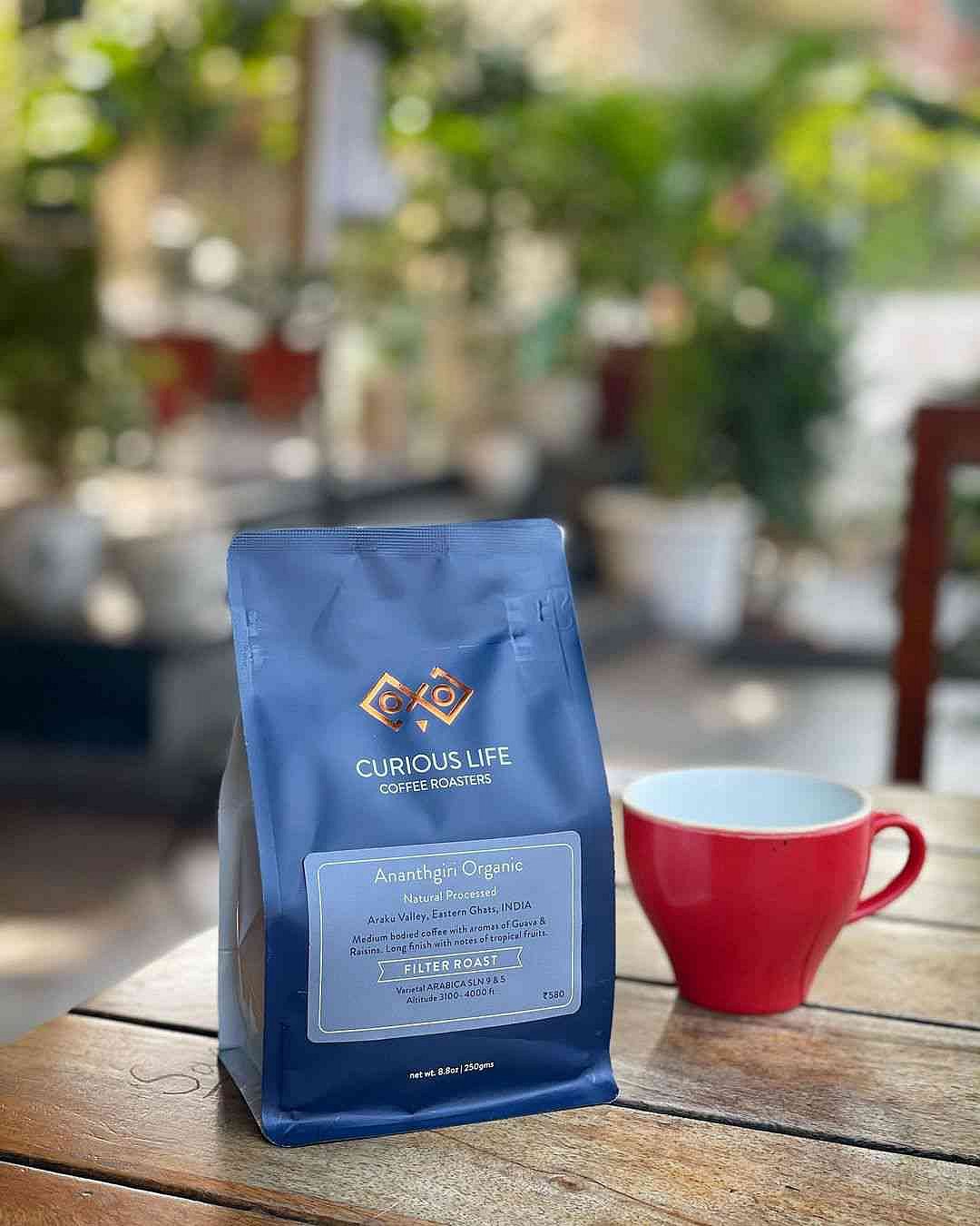 A Guide To Indian Coffee Brands