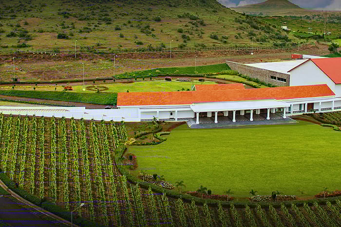 A Homegrown Guide To India’s Best Vineyards
