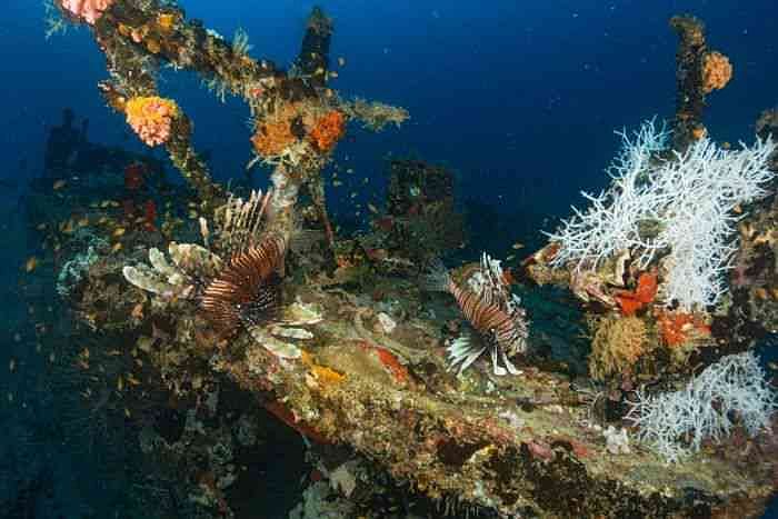 The First Ever Underwater Museum In India Is Now Open At The Sea Coast ...