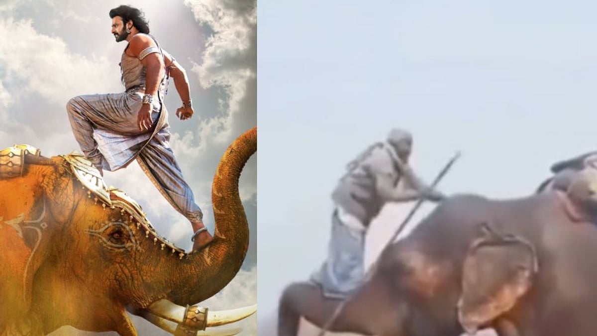mahout climbing over elephant in bahubali prabhas stye video goes viral