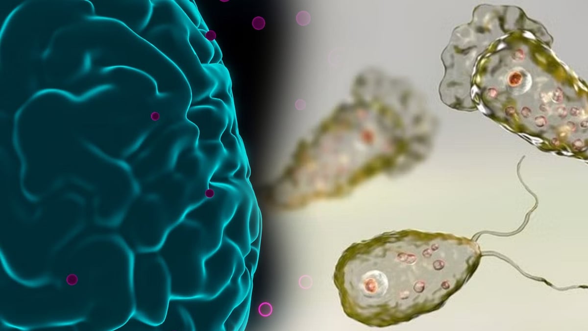 Brain-eating amoeba.. 2 children in Kerala tragically died.. Doctors warn!